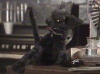 80sNostalgia.com - Classic TV - Wizbit